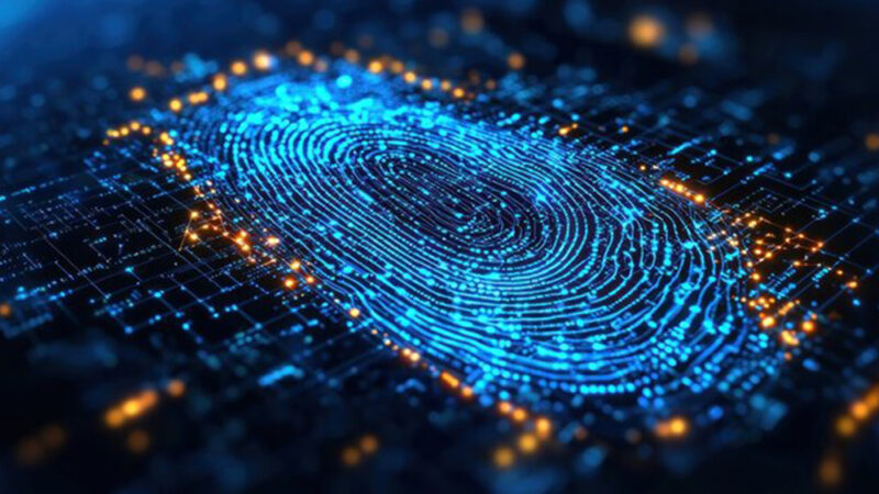 Operating System Security Hardening by CyberSecRad